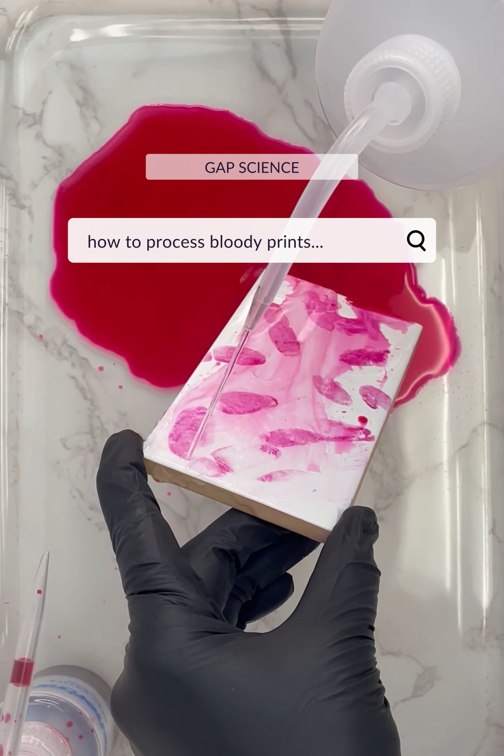 How to Process Bloody Surfaces: A Step-by-Step Guide for Latent Print ...